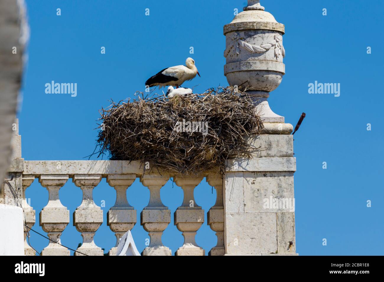 stork nests on Arco da Vila, a medieval gate in Faro, Algarve, Portugal ...