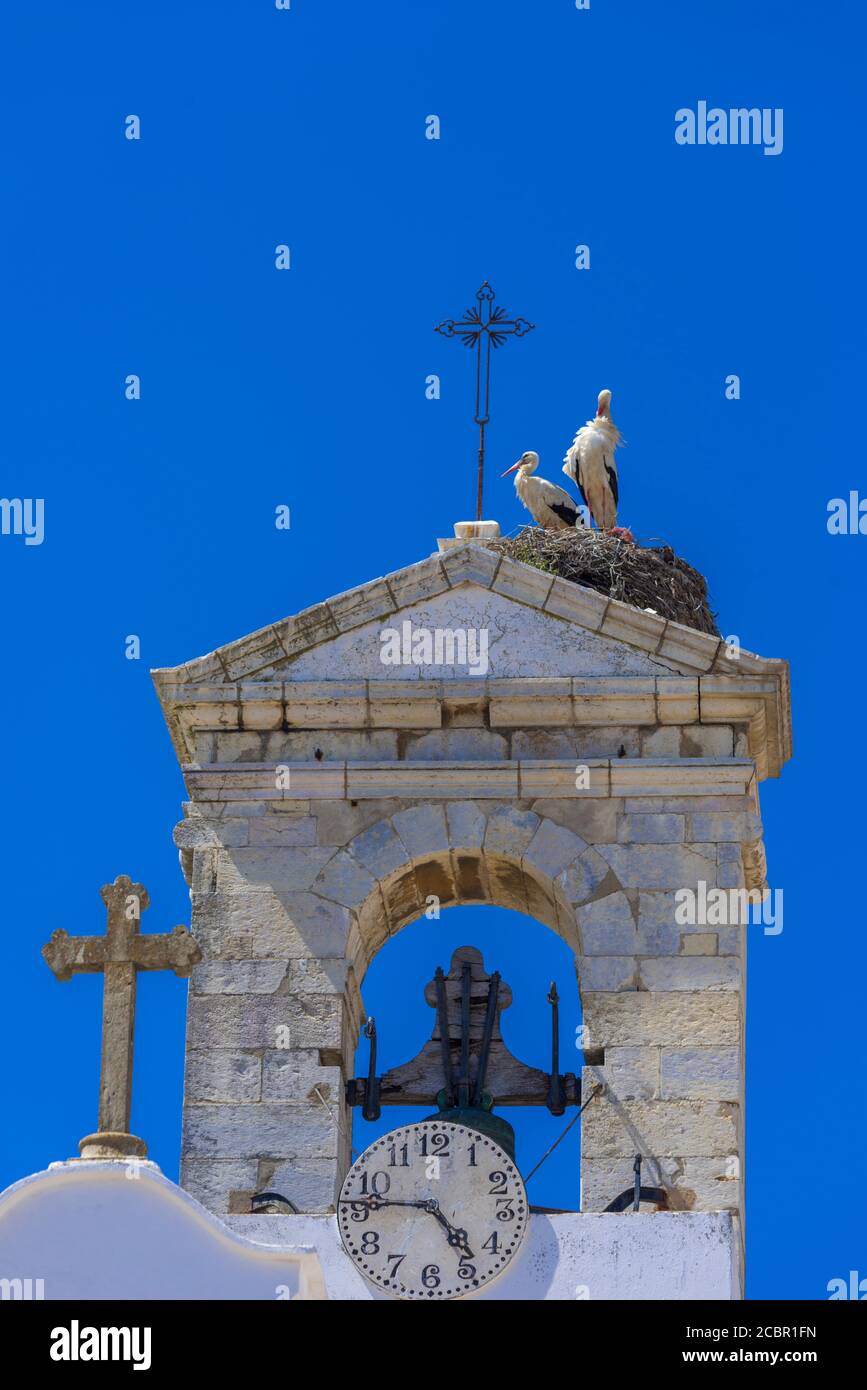 stork nests on Arco da Vila, a medieval gate in Faro, Algarve, Portugal ...