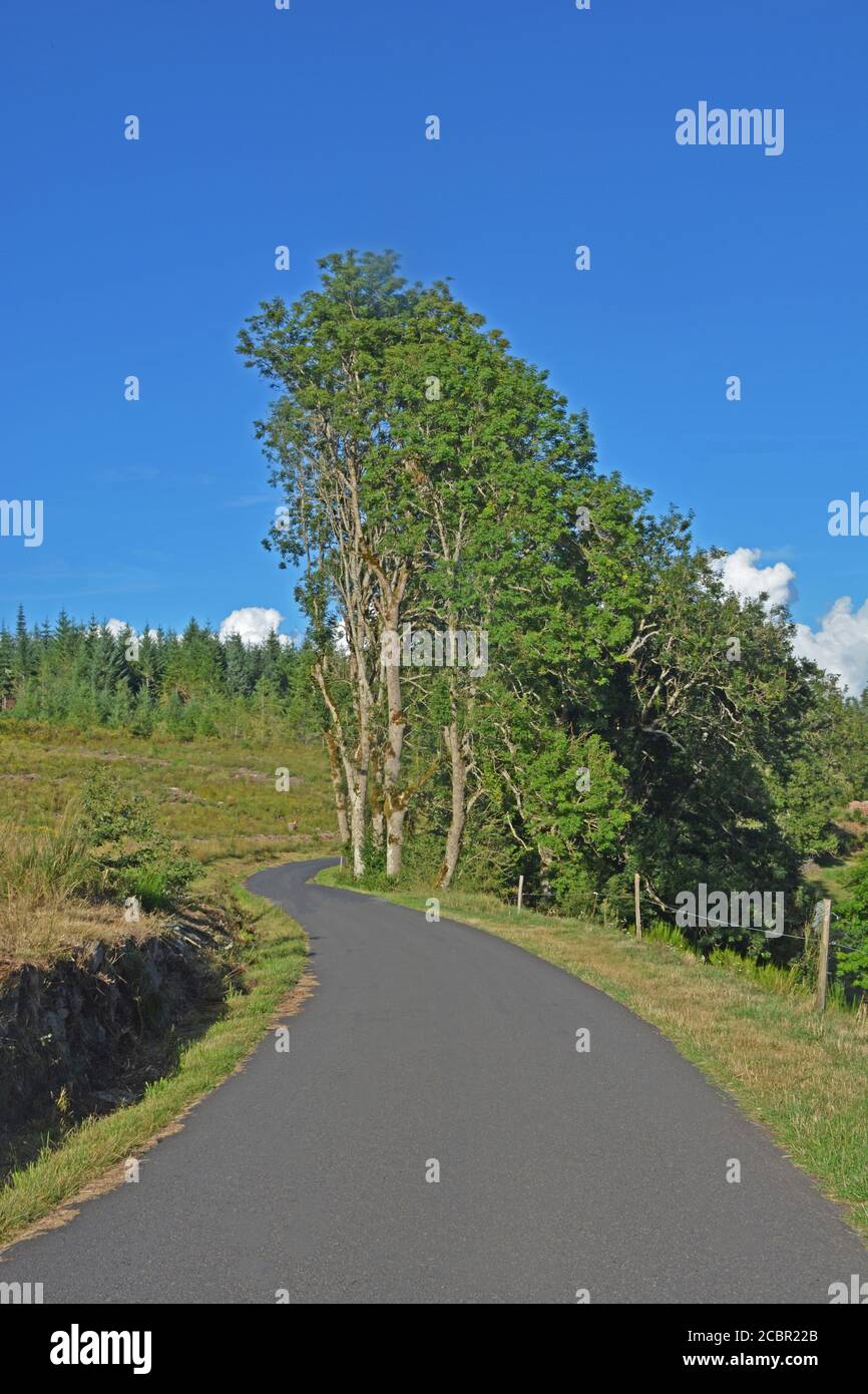 mountain road, Livradois-Forez, Puy-de-Dome, Auvergne, Massif-Central ...