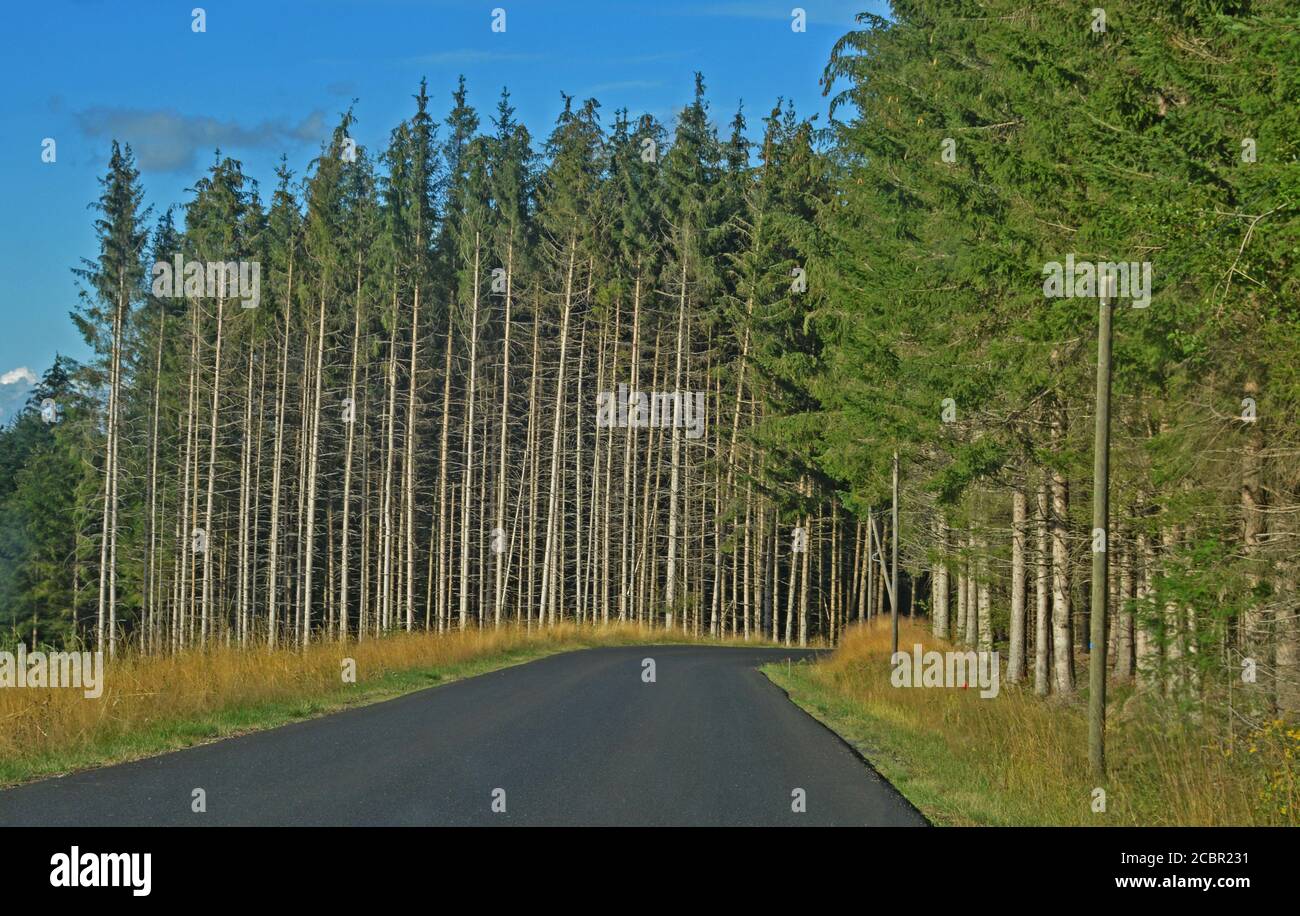 mountain road, Livradois-Forez, Puy-de-Dome, Auvergne, Massif-Central ...