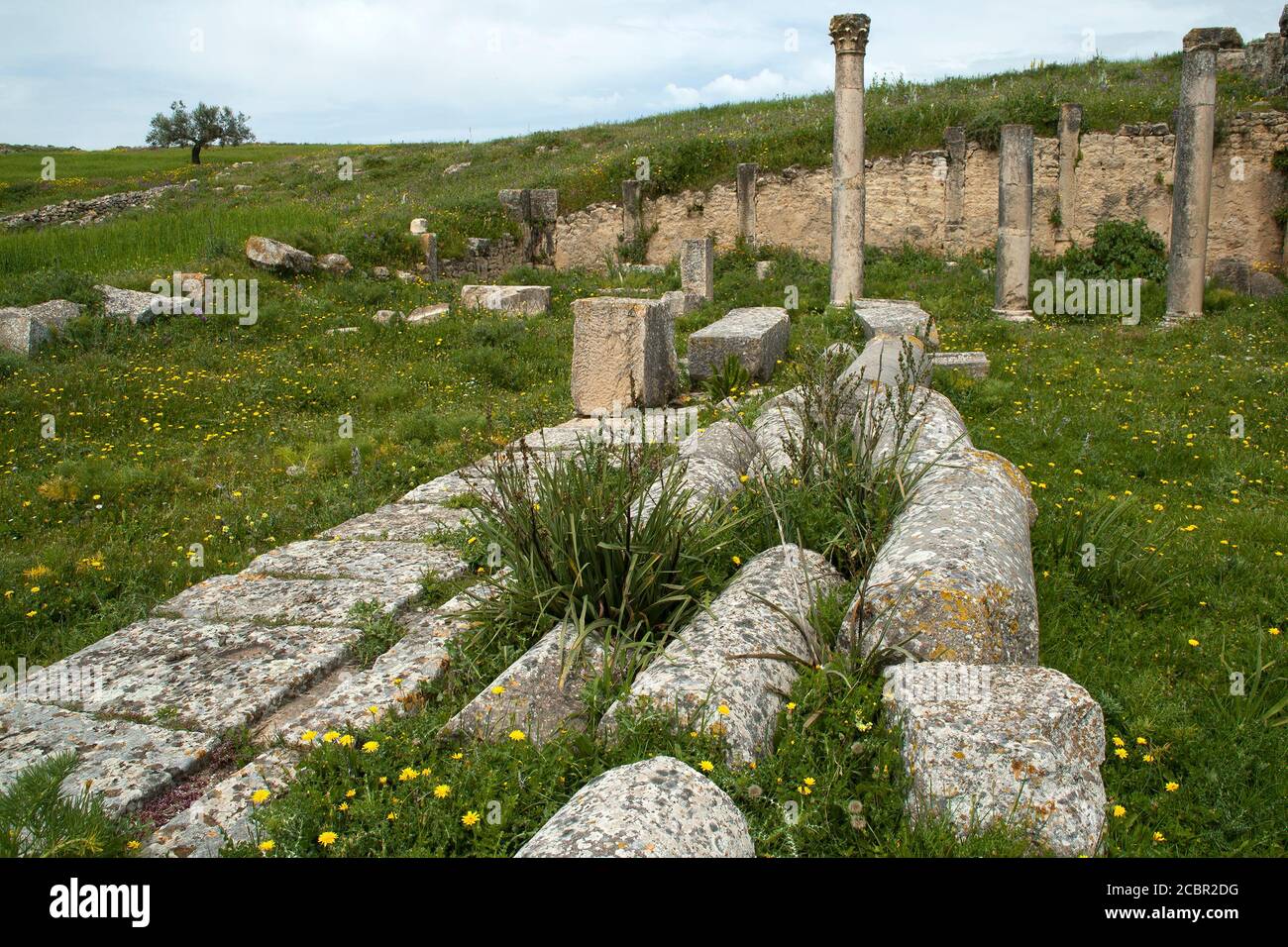 Fallen columns in roman ruins hi-res stock photography and images - Alamy