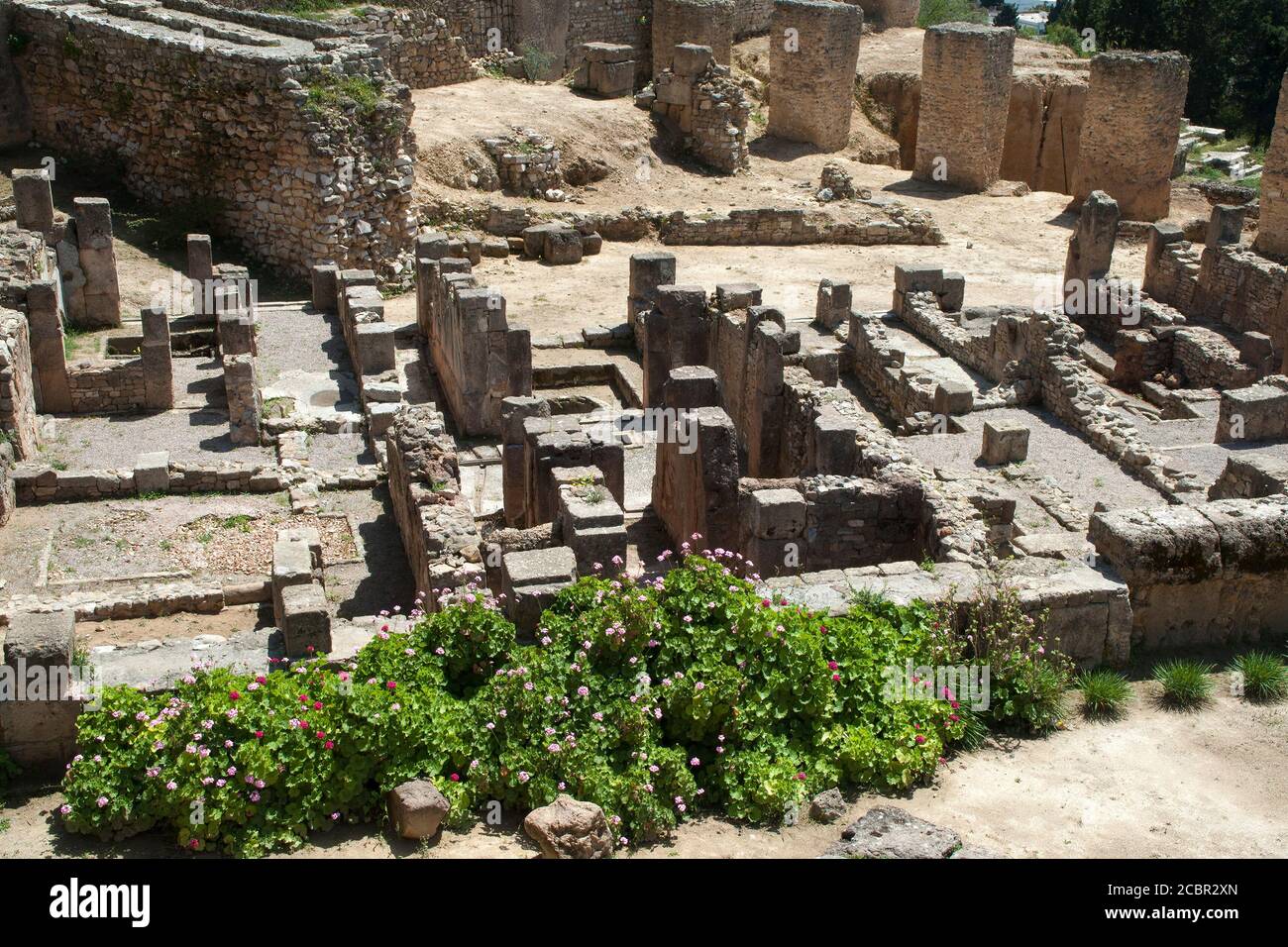 Carthage Tunisia, view of the ruins at Byrsa Stock Photo - Alamy