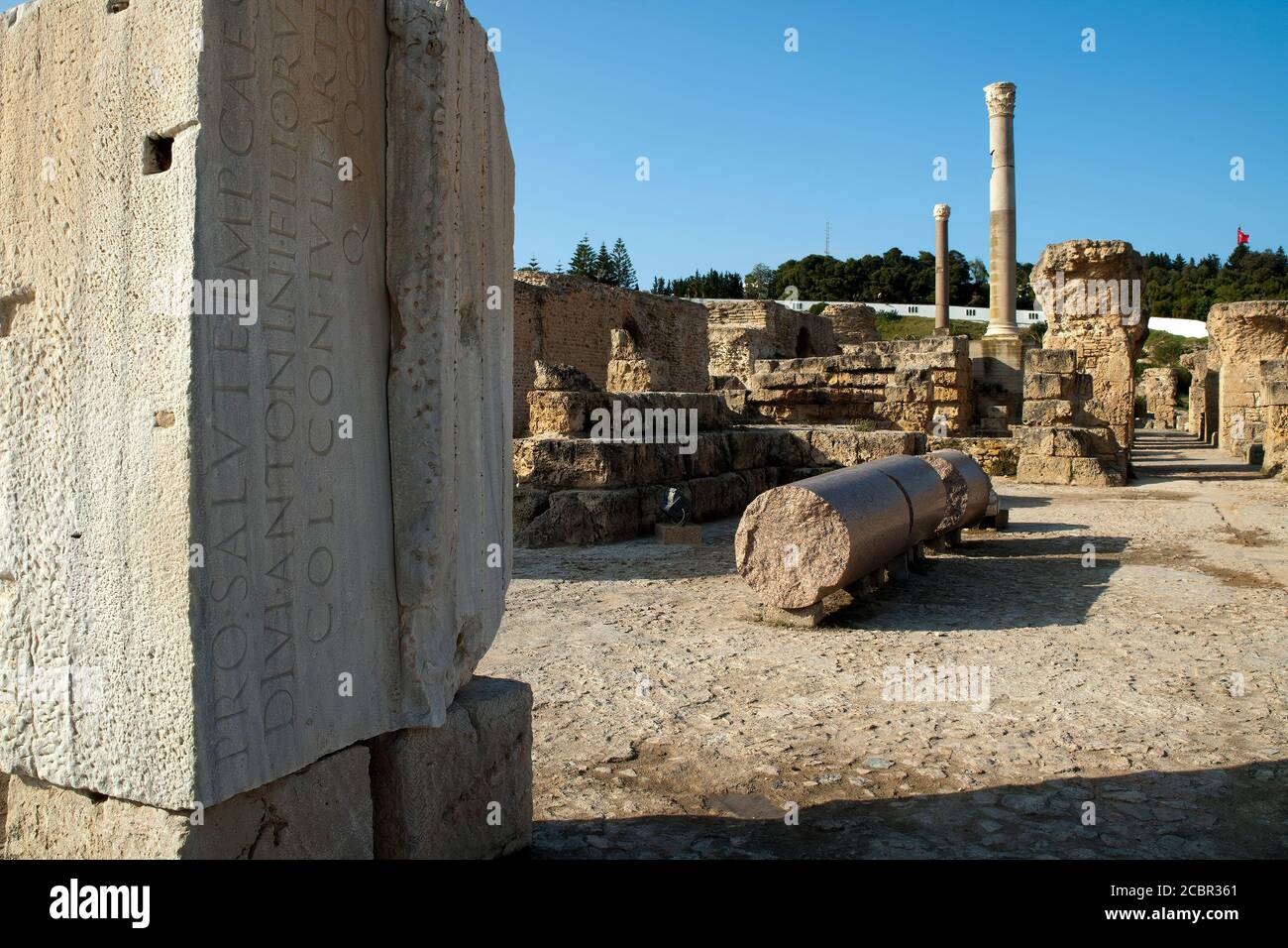 Phoenician punic archeology hi-res stock photography and images - Alamy