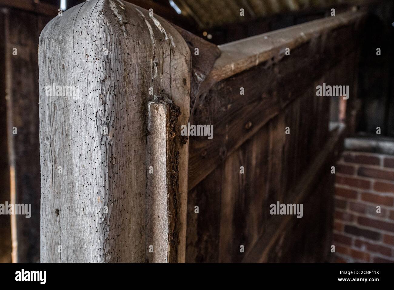Wood worn infested post in a old farm animal barn Stock Photo - Alamy