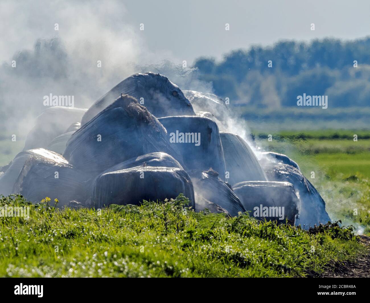 Black plastic bags hi-res stock photography and images - Alamy