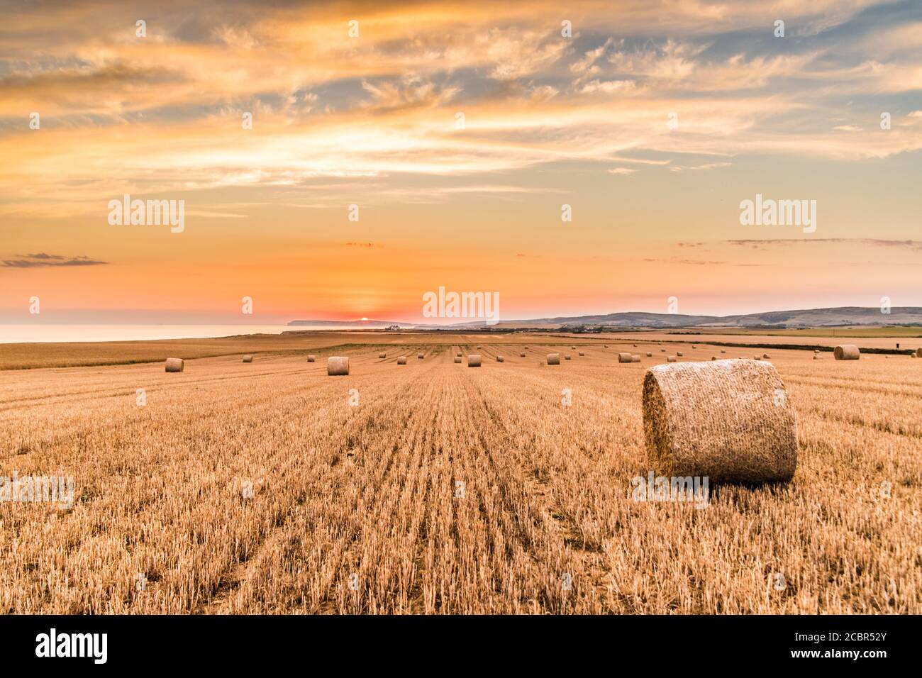 Leading ines hi-res stock photography and images - Alamy