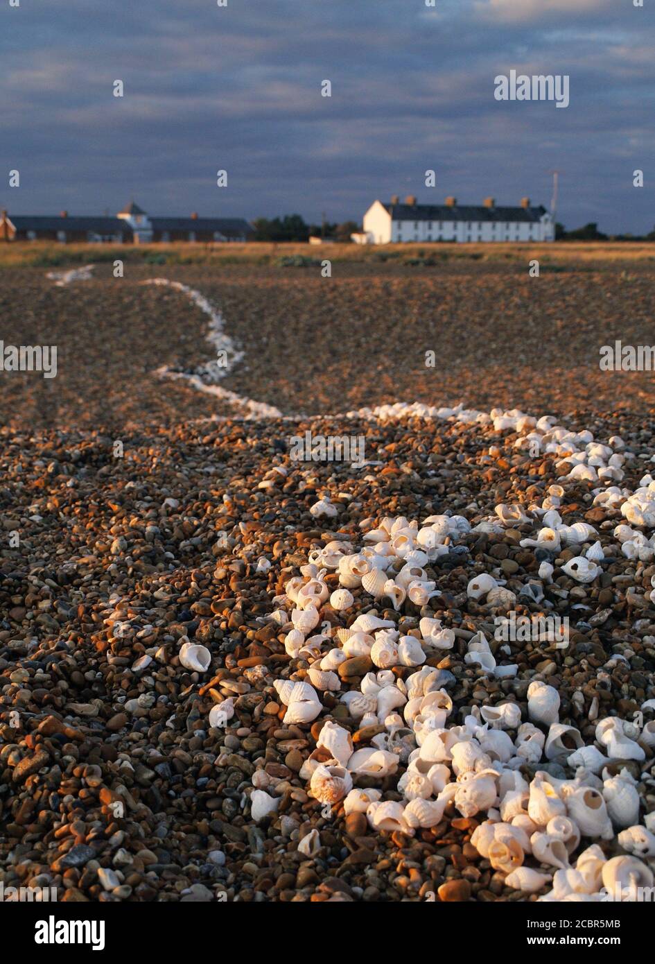 Shell Line on Shingle Street Beach, near Woodbridge, Suffolk Stock ...