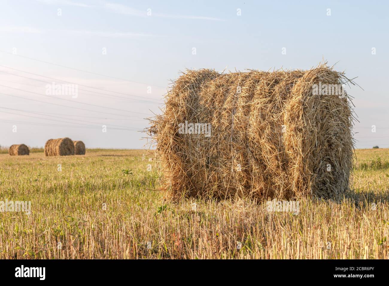 side view on a full straw haystack roll stringed, several rolls in the ...