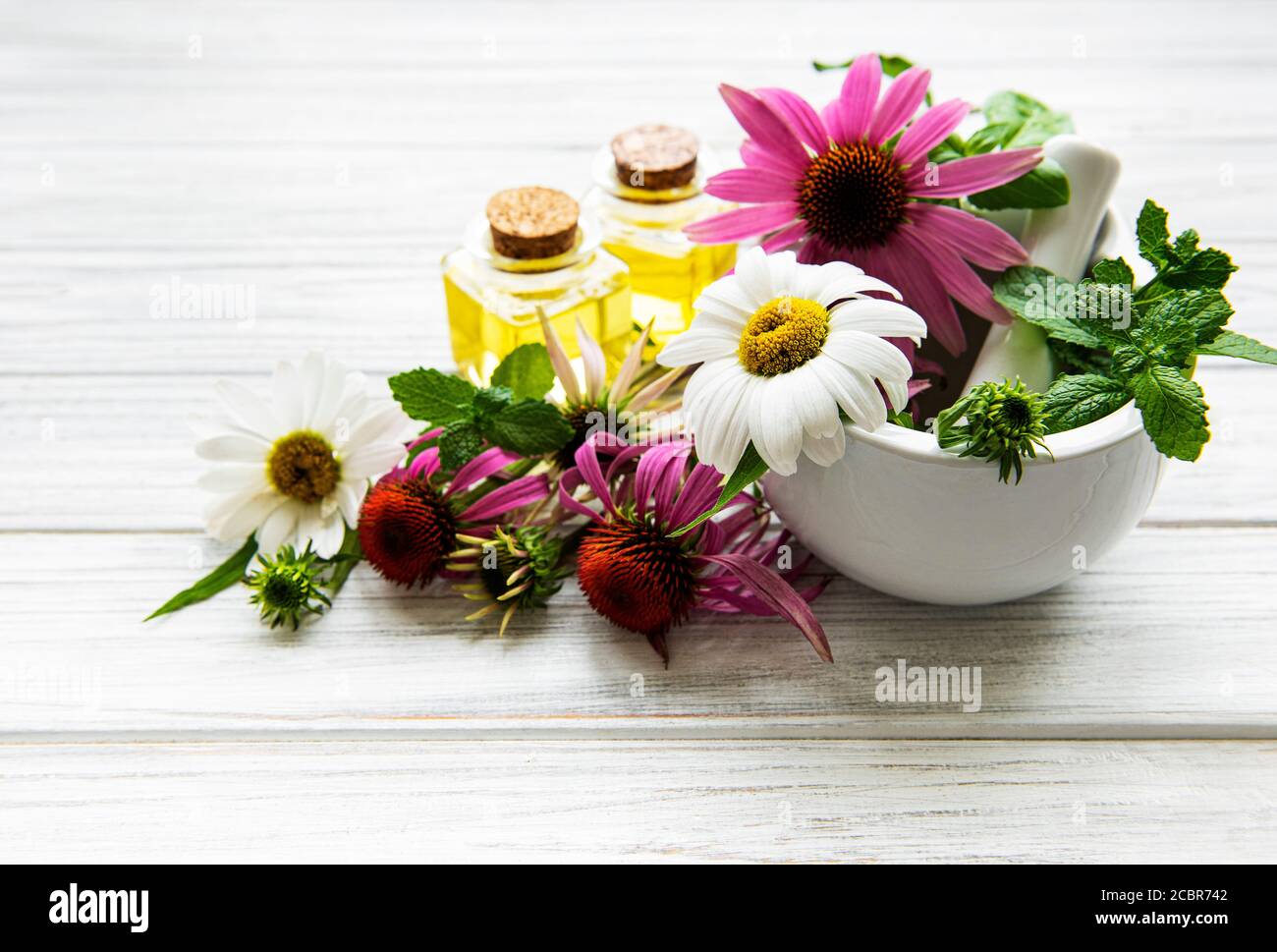 Leaves flowers table collection hi-res stock photography and images - Alamy
