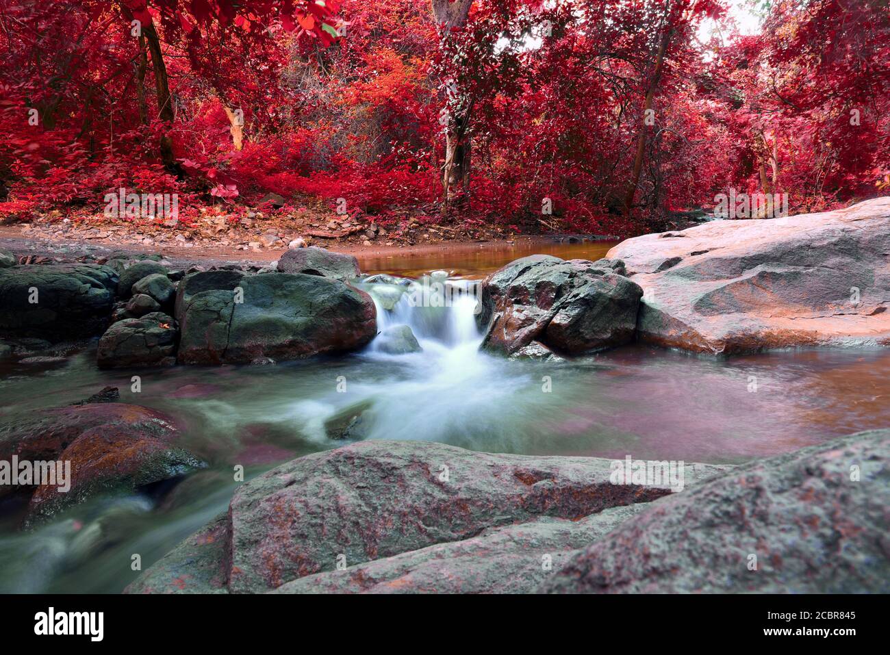 Autumn Forest Landscape With Beautiful Stream Stock Photo - Alamy