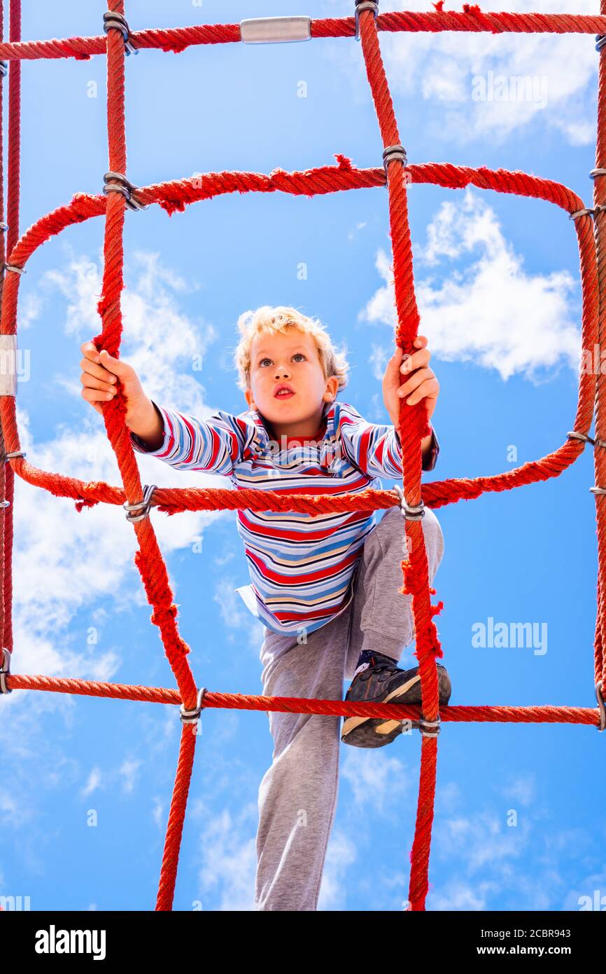 Spider climbing a web hi-res stock photography and images - Alamy
