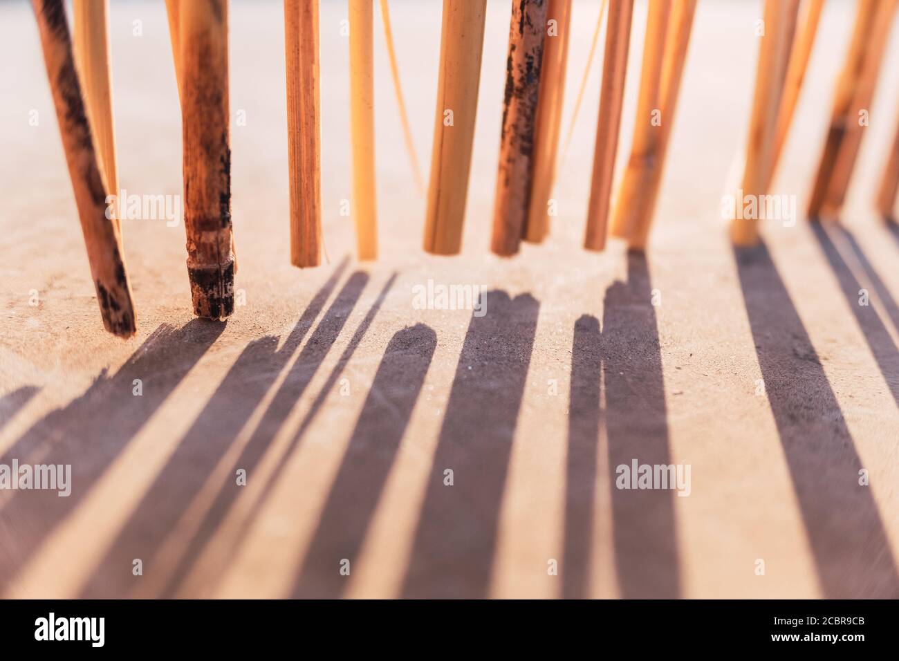 Natural background with backlit sticks that cast shadow lines on the ...