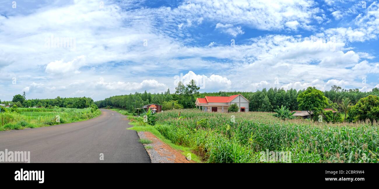 Small soil pathway in countryside hi-res stock photography and images ...