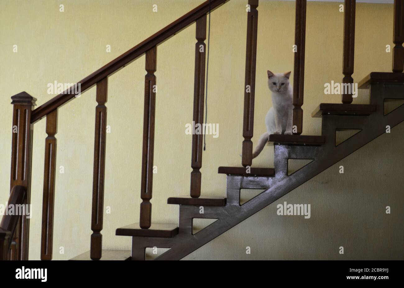 Funny steps hi-res stock photography and images - Alamy