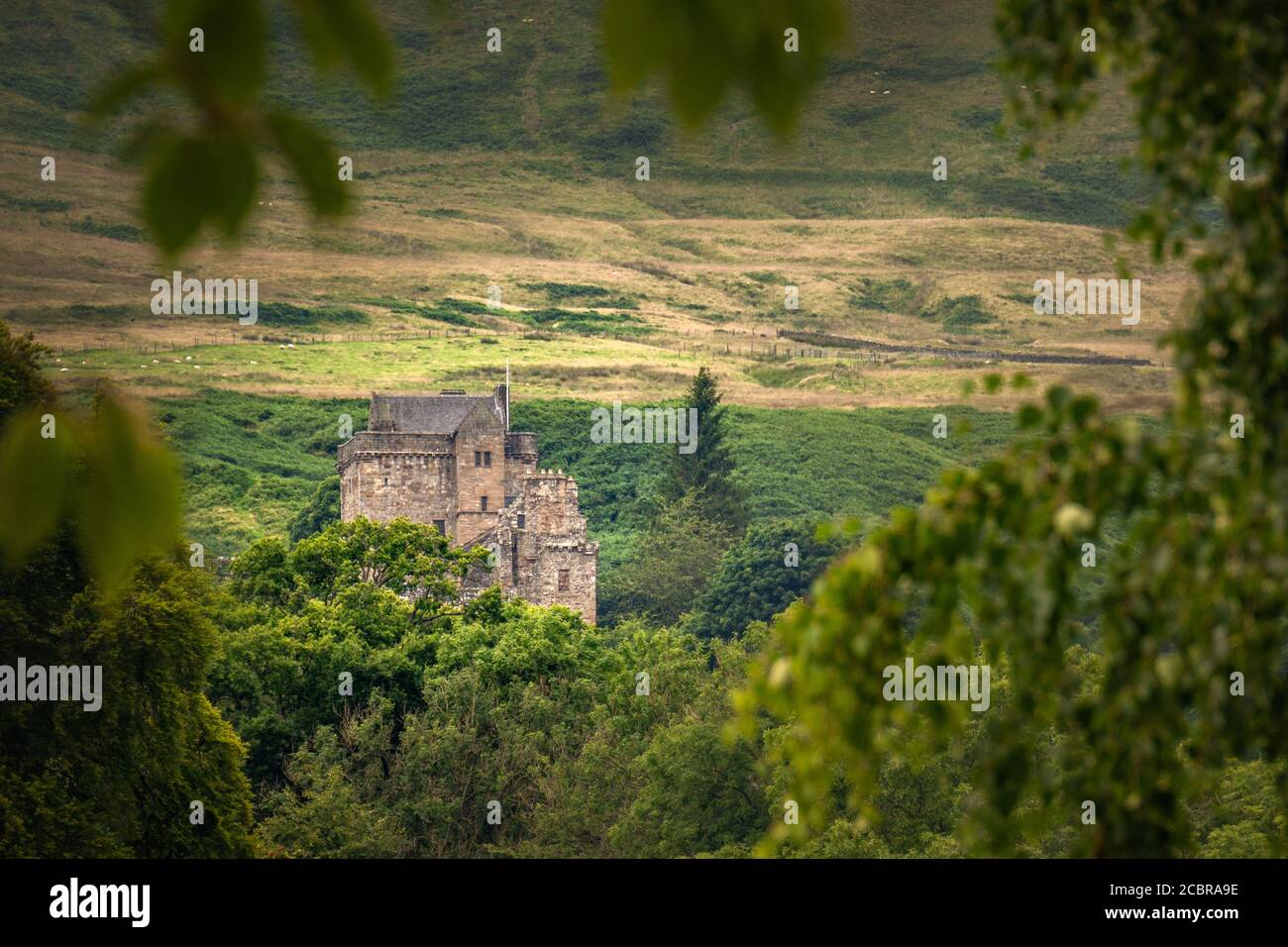 iBri Photography • Facebook • Instagram • Twitter Stock Photo - Alamy