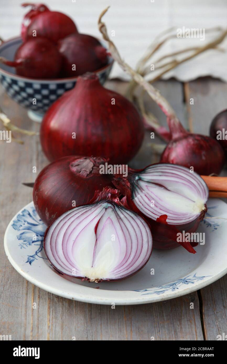 Only onions hi-res stock photography and images - Alamy