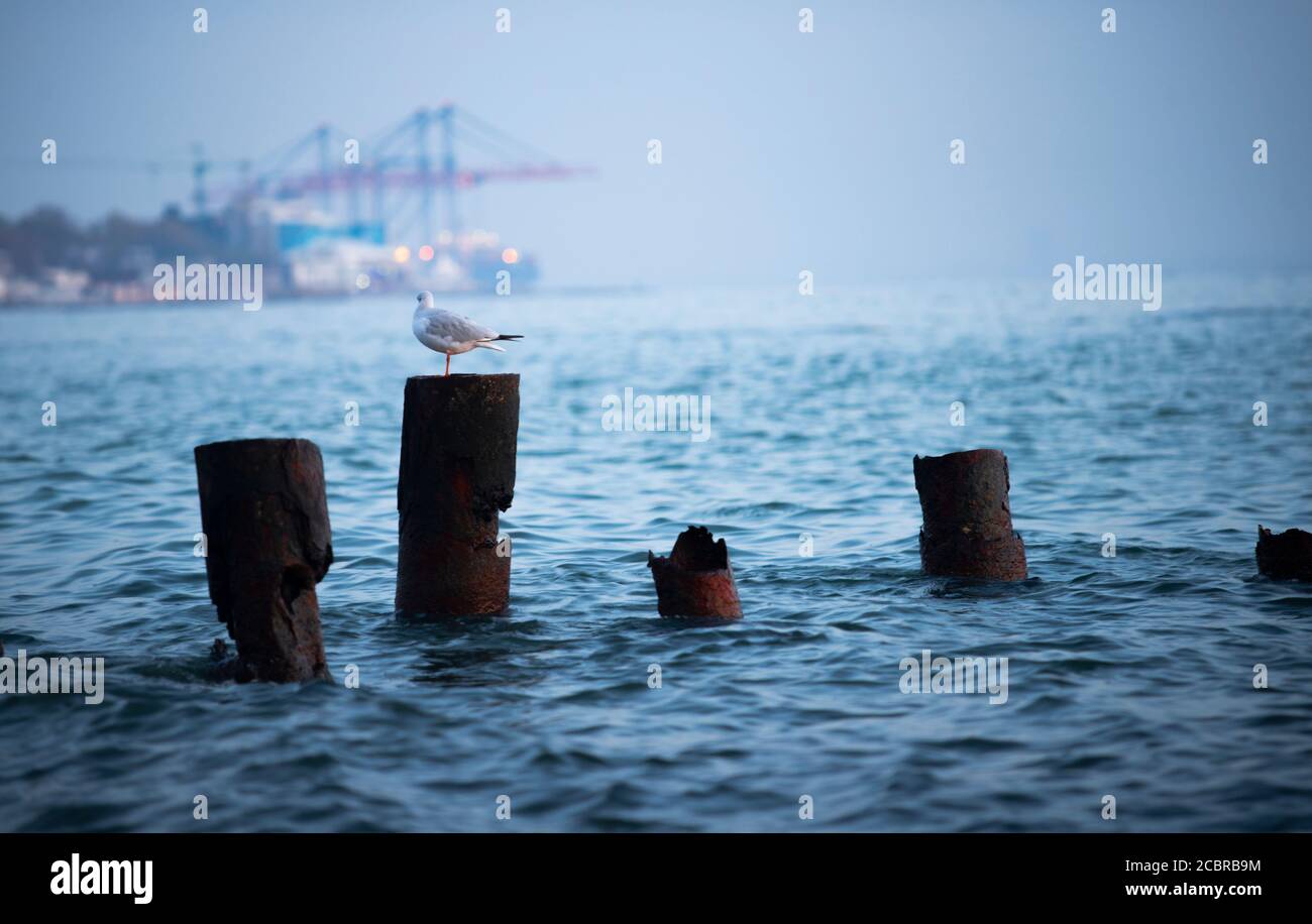 Odesa port hi-res stock photography and images - Alamy