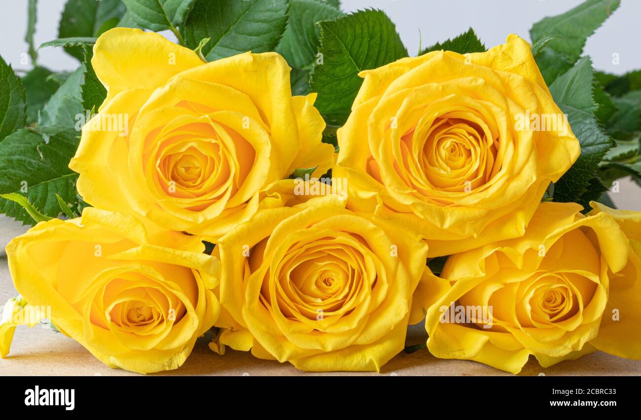 Beautiful bouquet with yellow roses flower on a white background ...