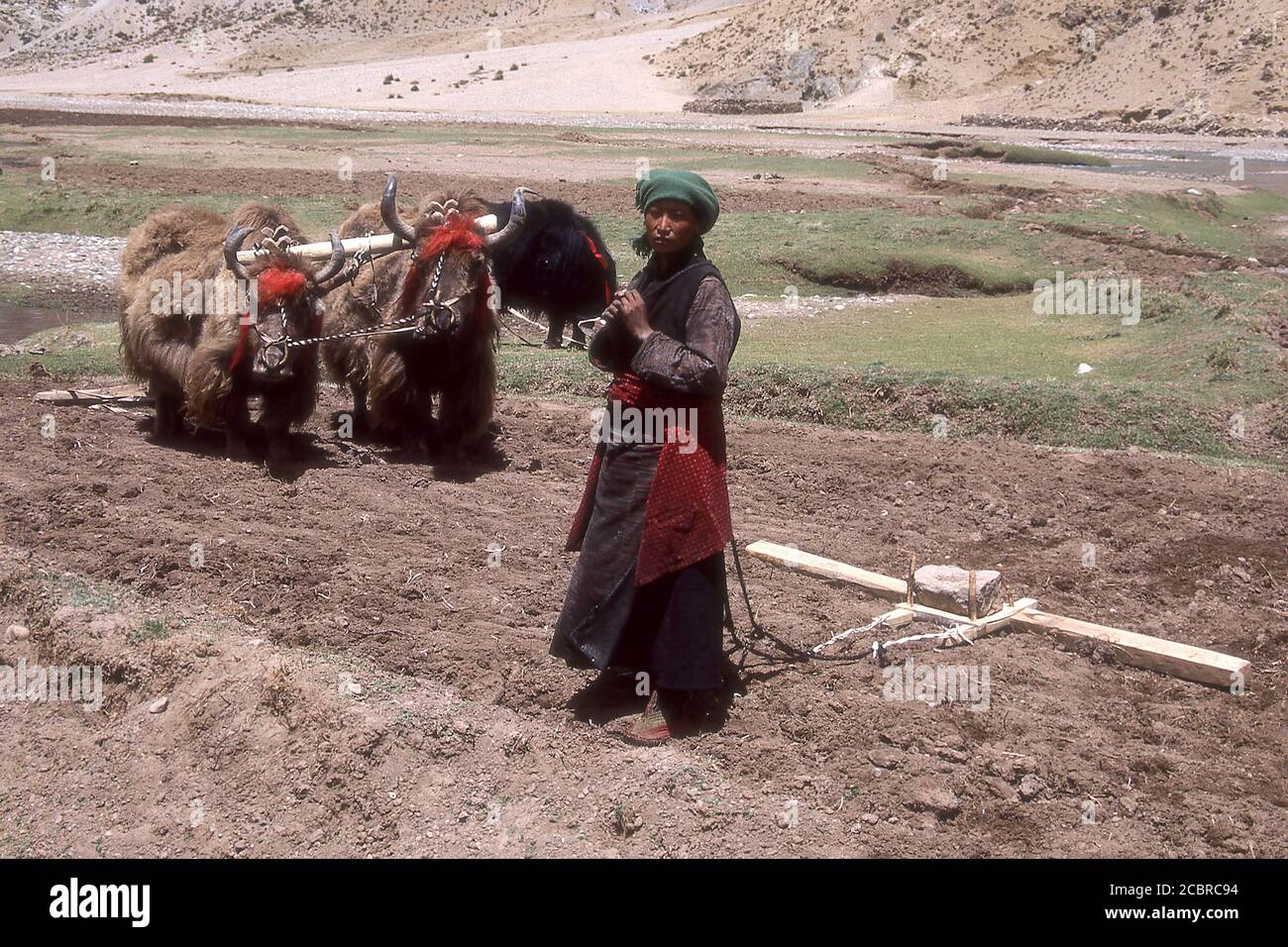 Female ploughing hi-res stock photography and images - Alamy