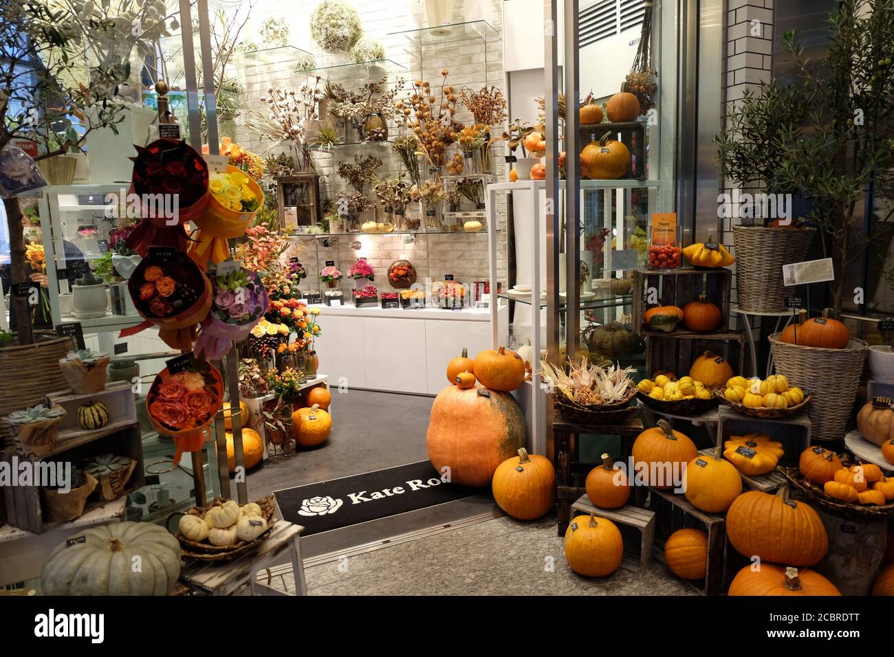 Hocus pocus witches hi-res stock photography and images - Alamy