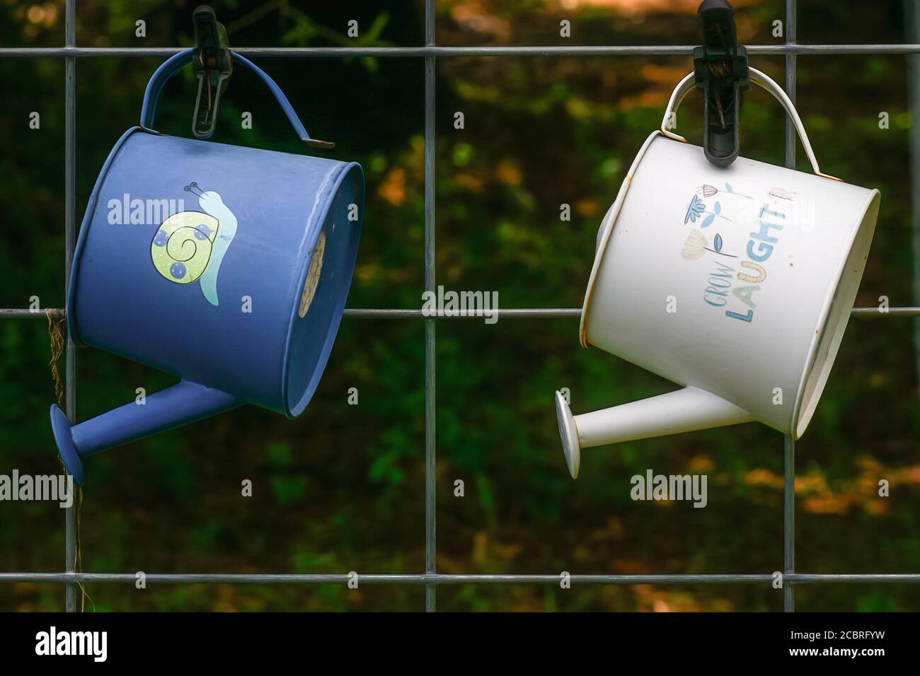 Blue and White Watering Pails Stock Photo - Alamy