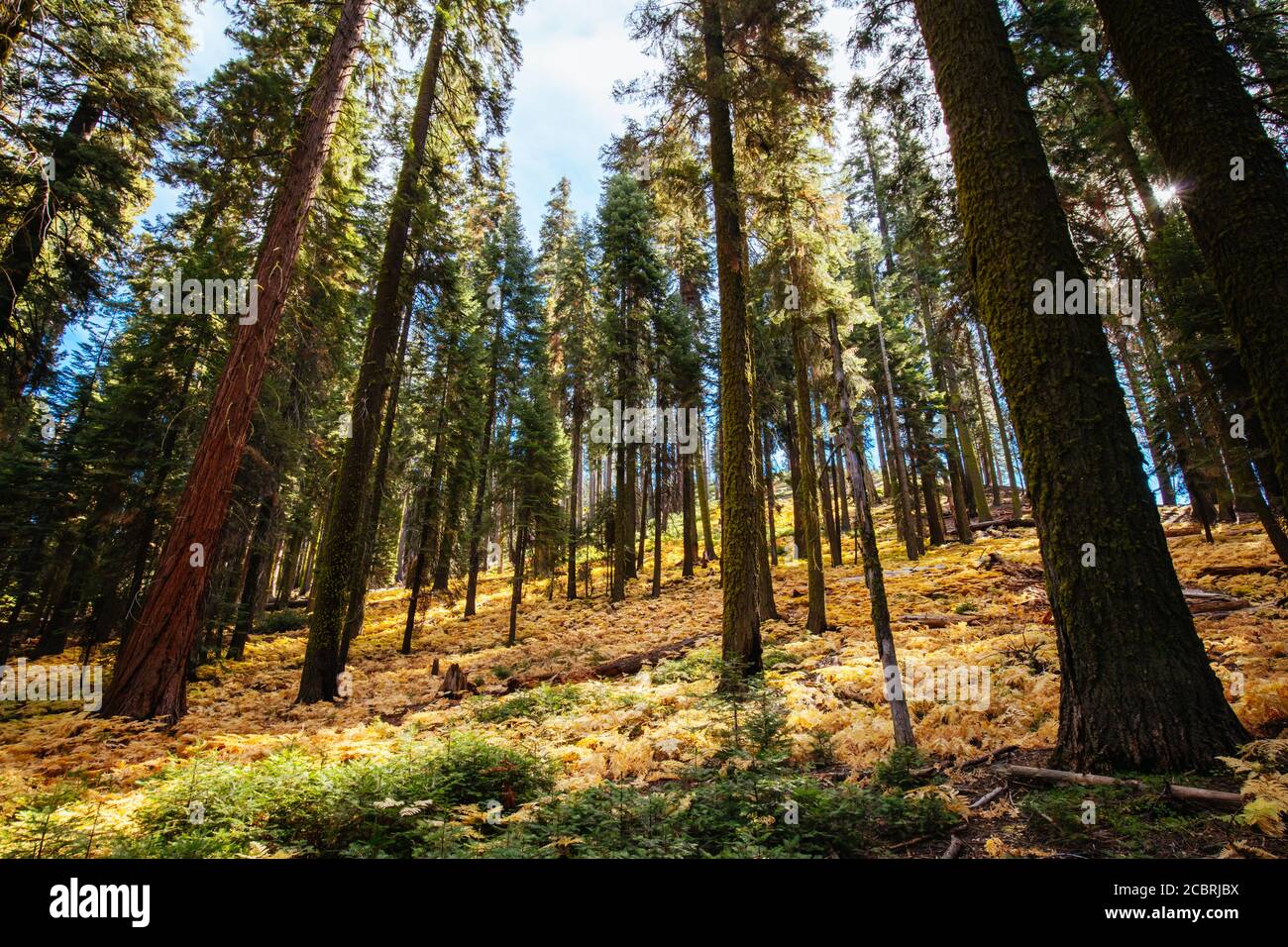 Crescent meadow hi-res stock photography and images - Alamy