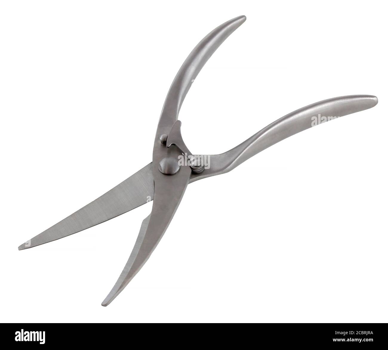 Metallic Chicken scissors for cooking. Open. Isolated on white ...