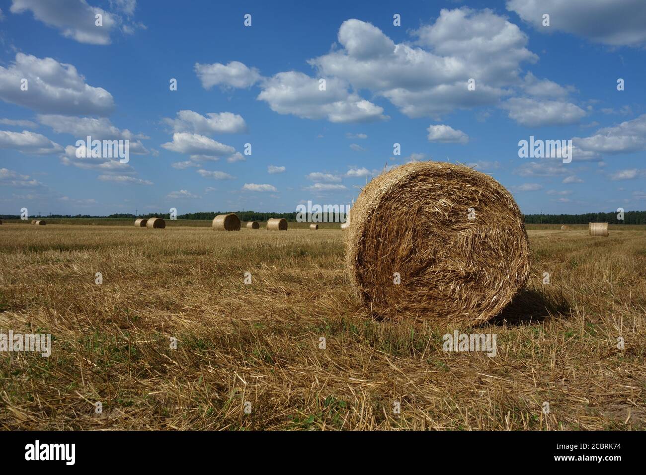 Production straw hay hi-res stock photography and images - Alamy
