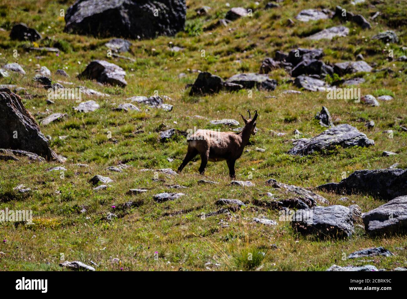 Walking through the rocks hi-res stock photography and images - Alamy