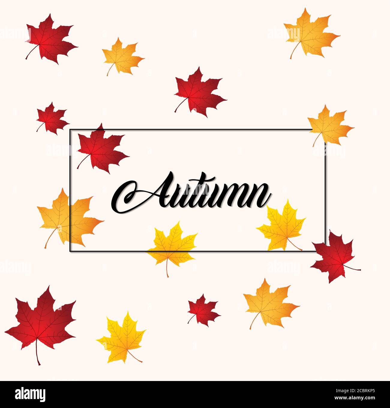 Autumn background layout decorate with leaves. Vector Illustration ...
