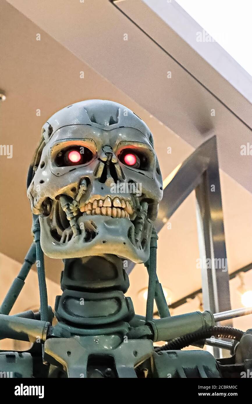 Skynet terminator hi-res stock photography and images - Alamy