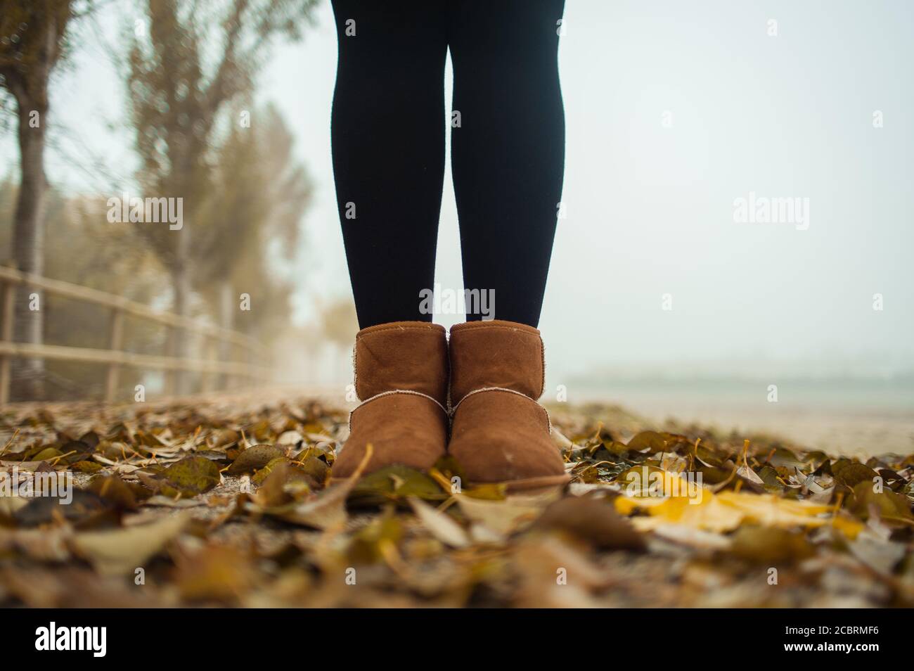 Autumn scene woman legs Stock Photo - Alamy