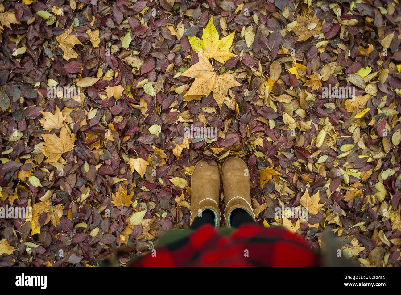 Autumn scene woman legs Stock Photo - Alamy
