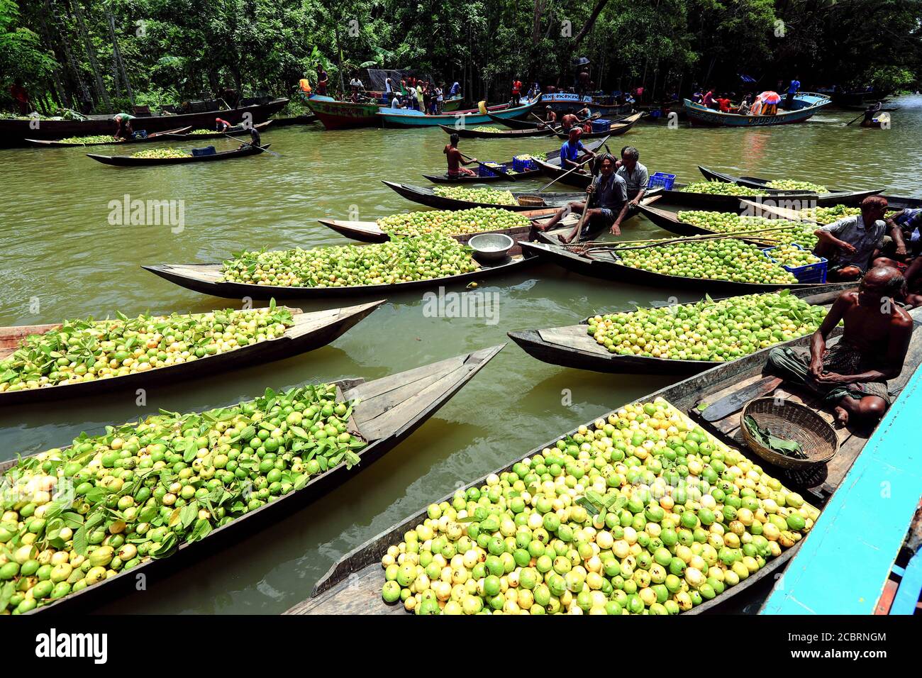 Bangladesh Floating Guava Market High Resolution Stock Photography and ...