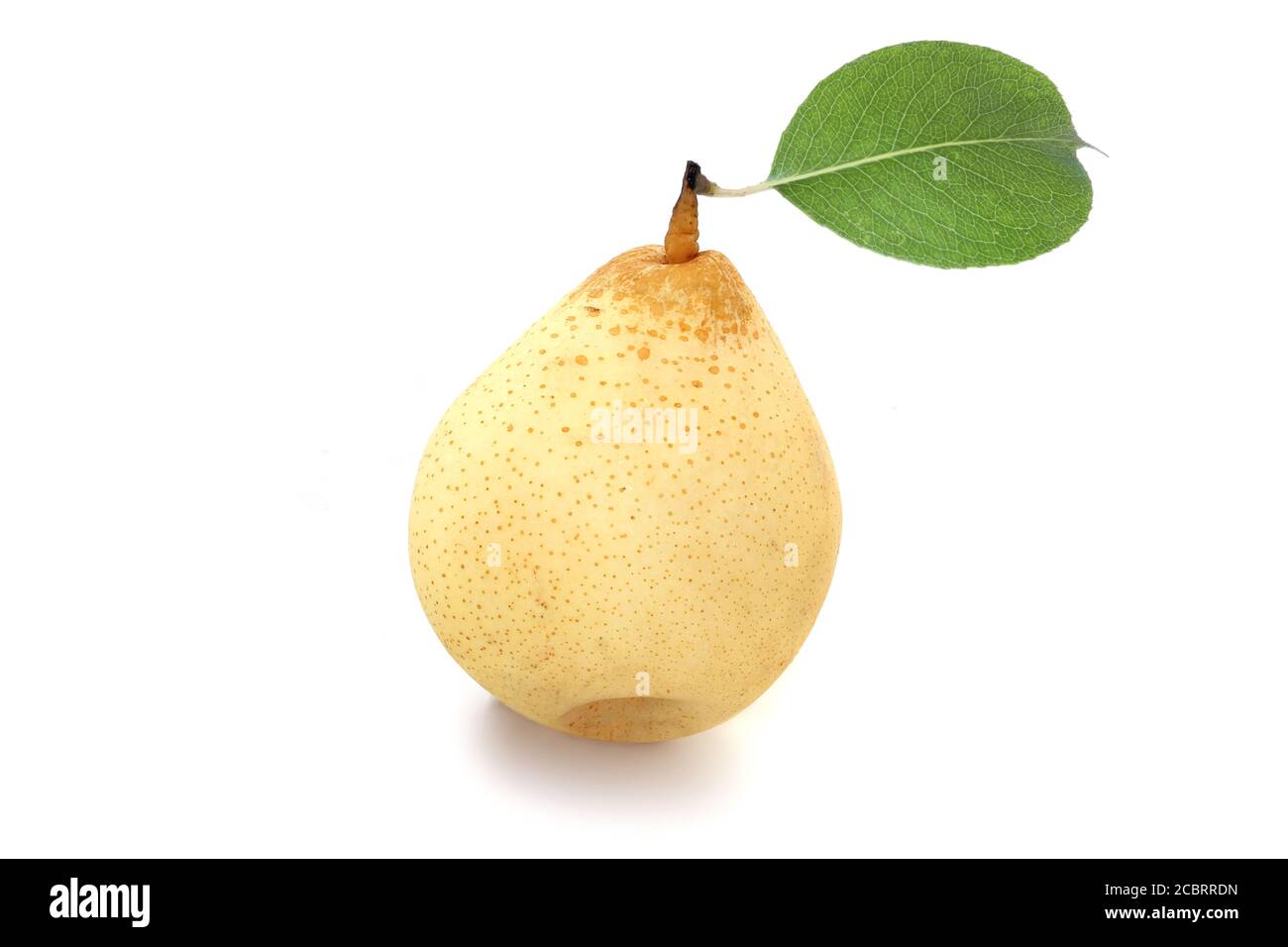 Snow pear with leaf isolated on white background Stock Photo - Alamy
