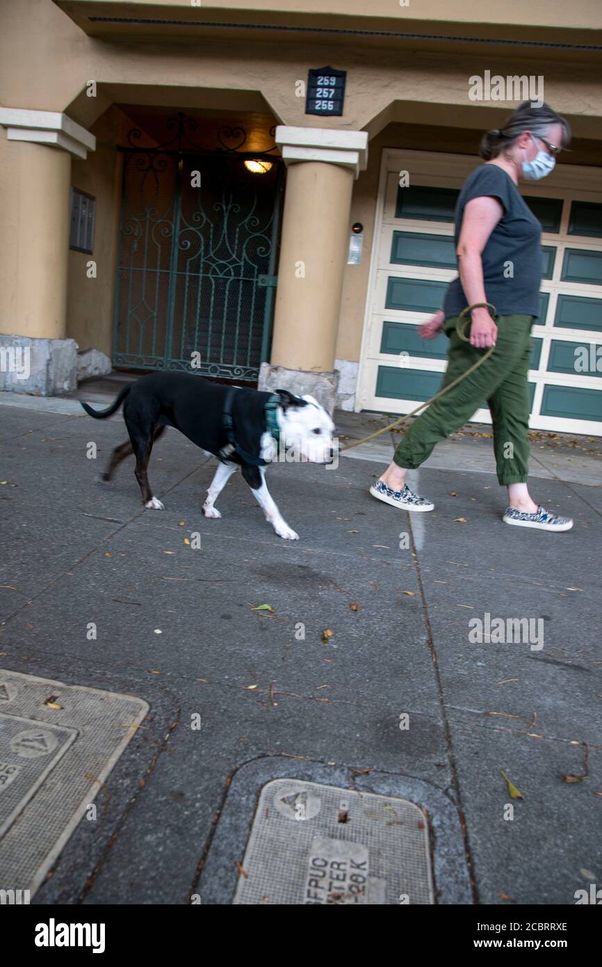 Dog walker san francisco hi-res stock photography and images - Alamy