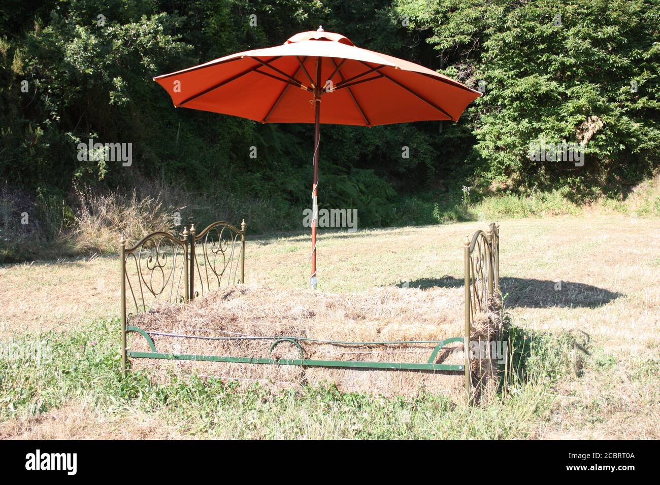 Fake straw hi-res stock photography and images - Alamy