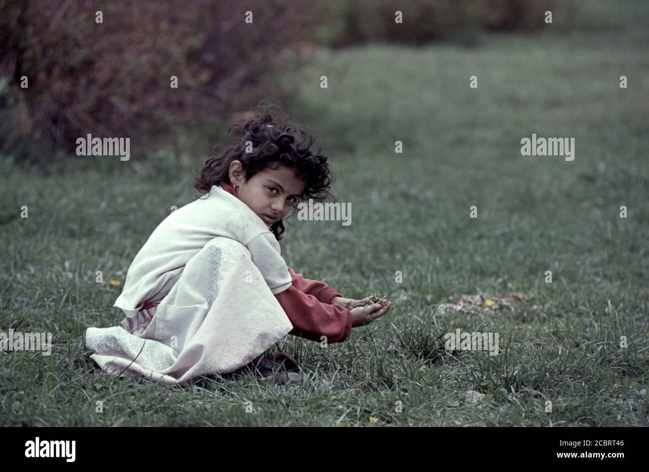 13th April 1994 During the Siege of Sarajevo: a young girl forages for ...