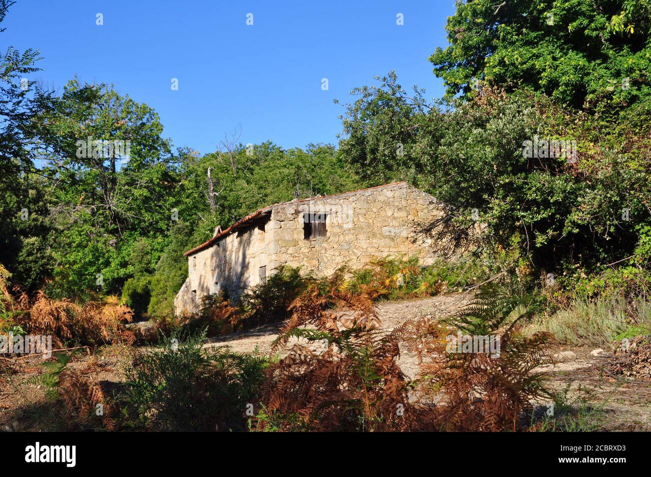 Sheepfold corsica hi-res stock photography and images - Alamy
