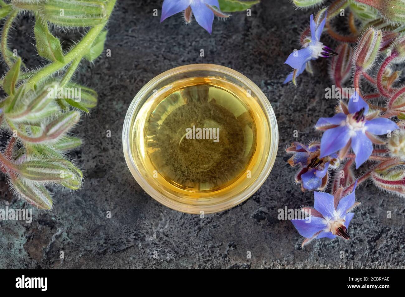 A bowl of borage oil with fresh blooming plant Stock Photo - Alamy