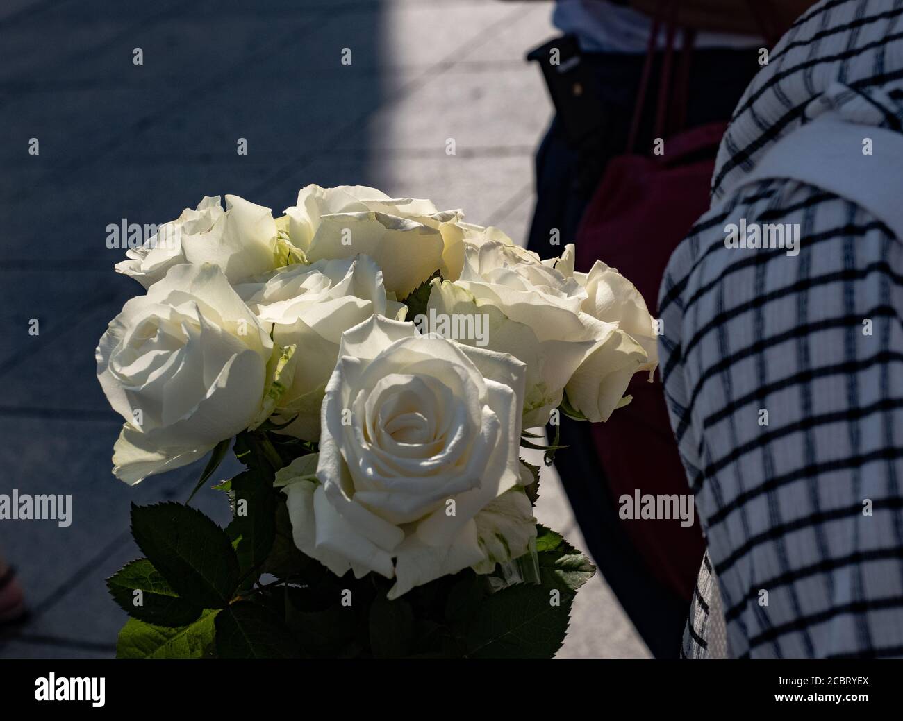 White roses protest hi-res stock photography and images - Alamy
