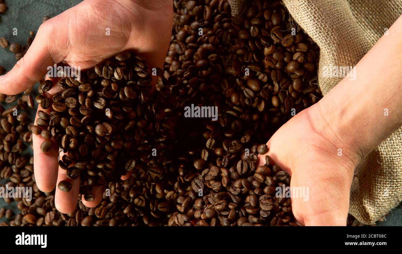 Detail of man hands holding coffee beans. Coffee beverages prepration ...