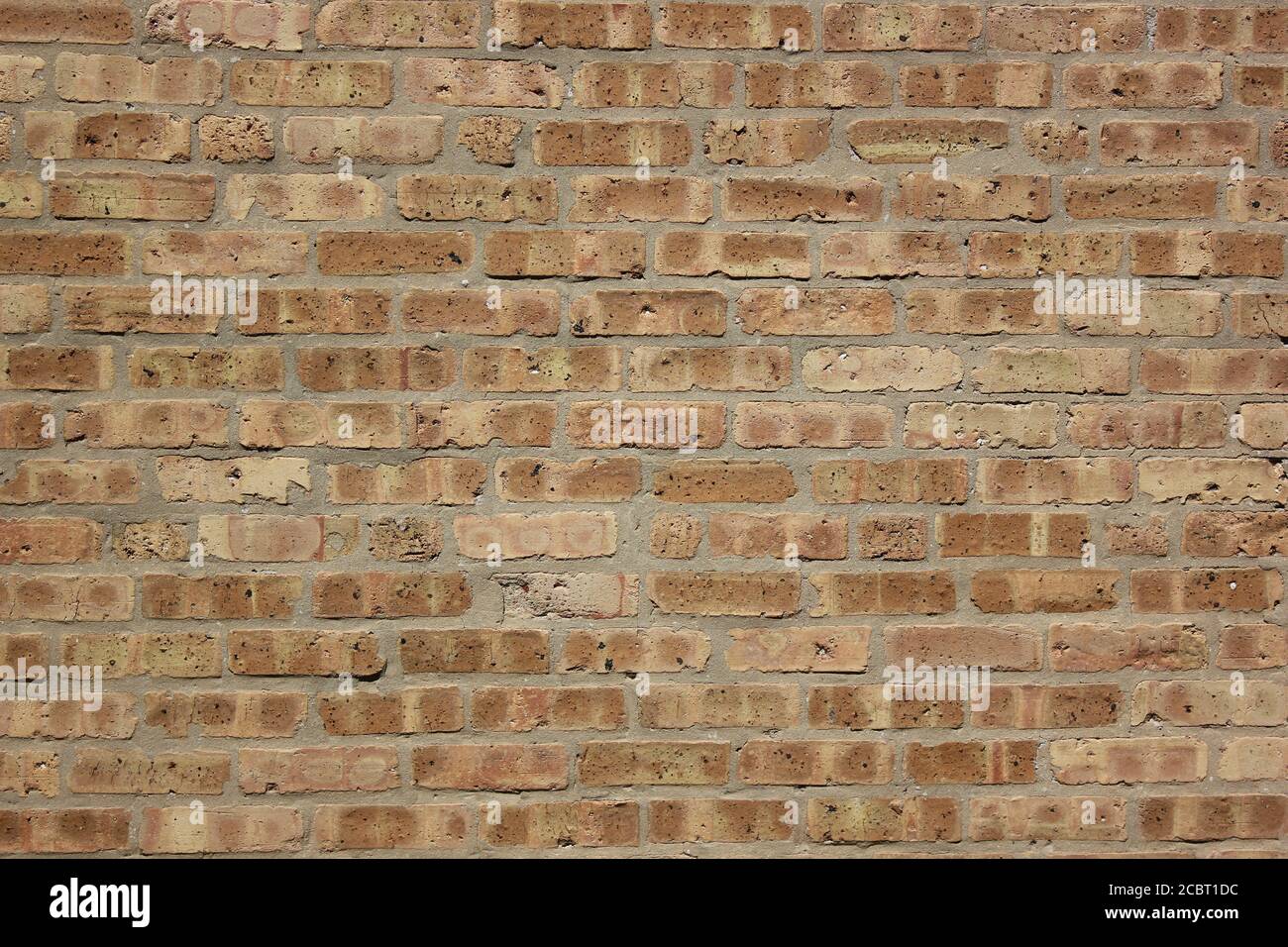 An apricot colored common Chicago brick wall Stock Photo - Alamy