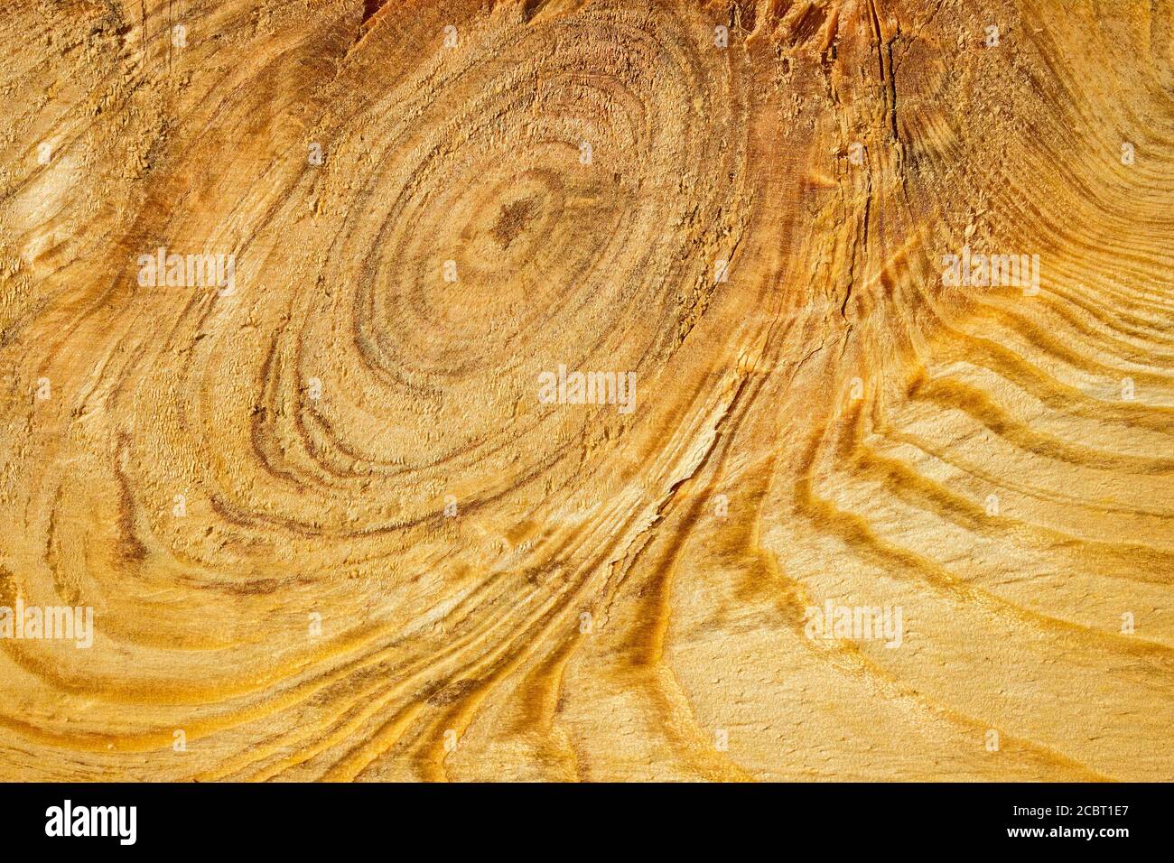 fantastic wood texture with natural patterns of round and different ...