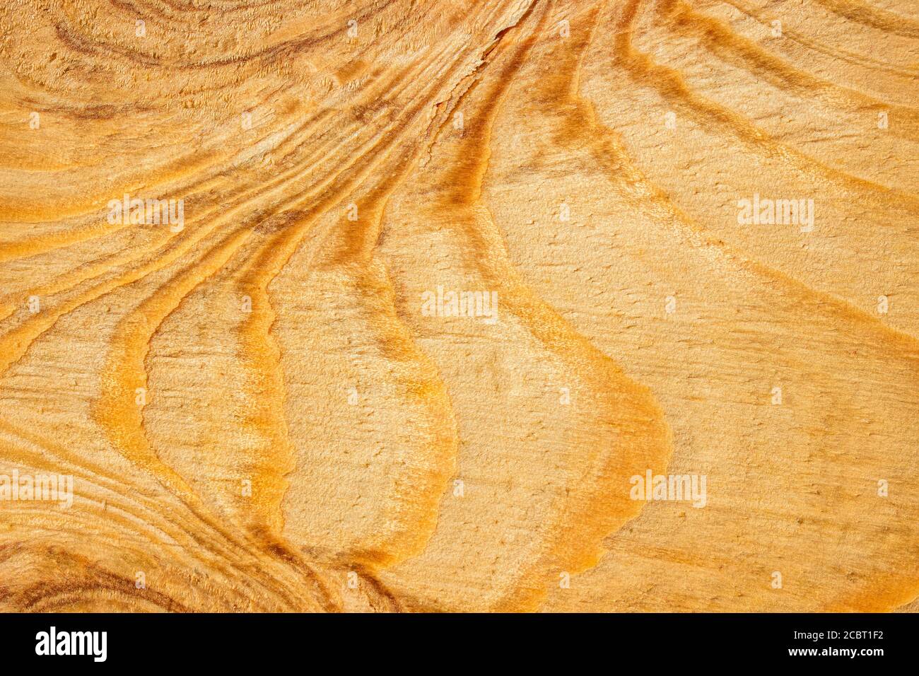 fantastic natural background with natural patterns in the form of wavy ...