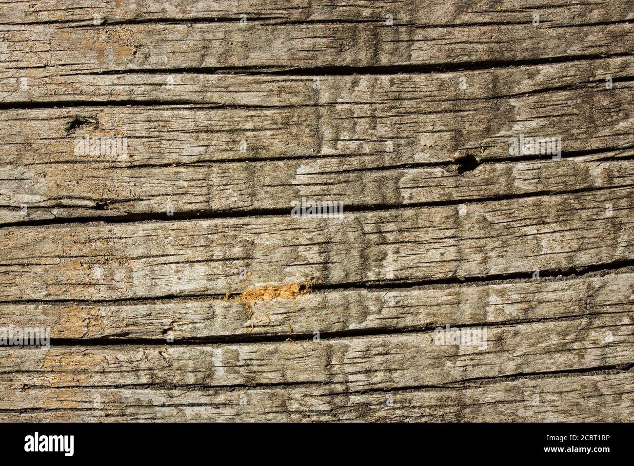 texture of old wood with cracks and scratches background for design ...