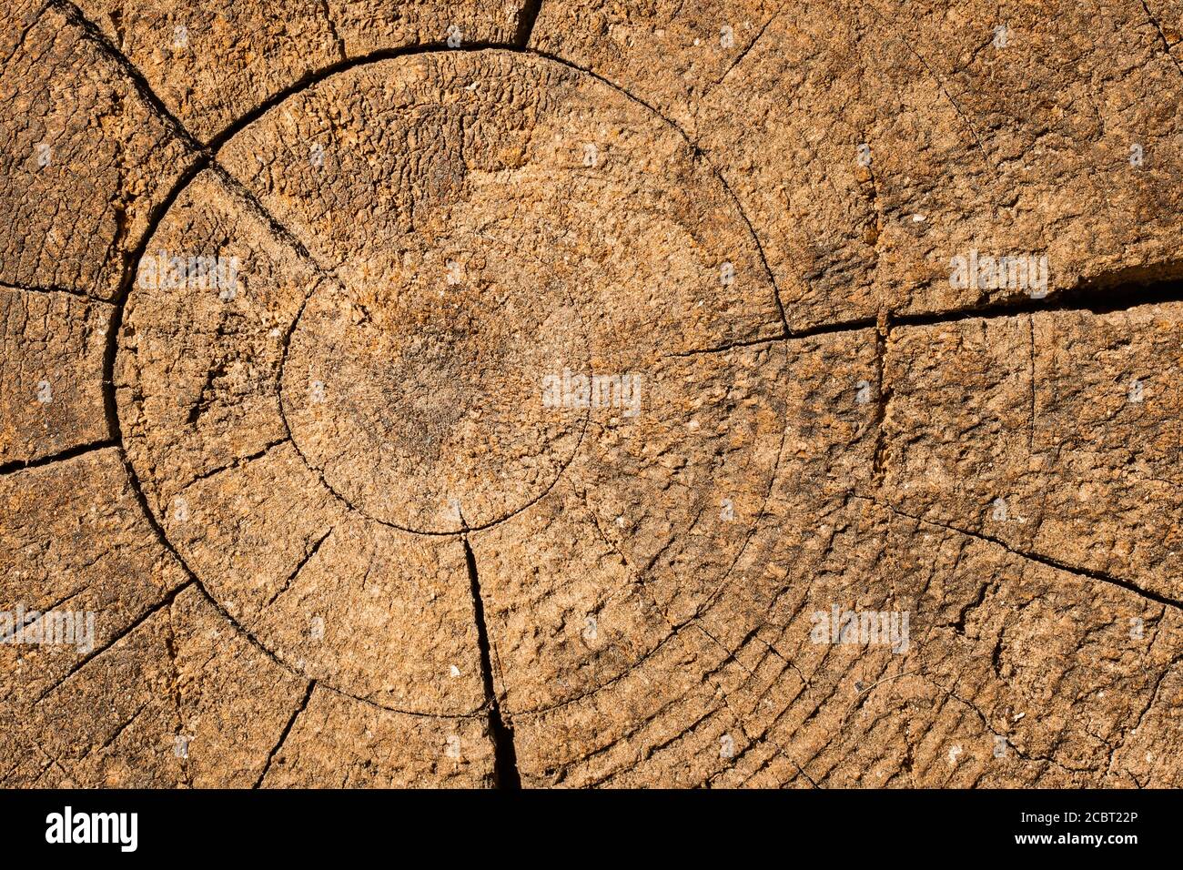 bright brown wood texture with beautiful round patterns concept ...