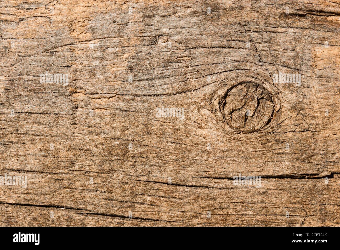 bright wooden texture with a small round pattern illuminated by ...