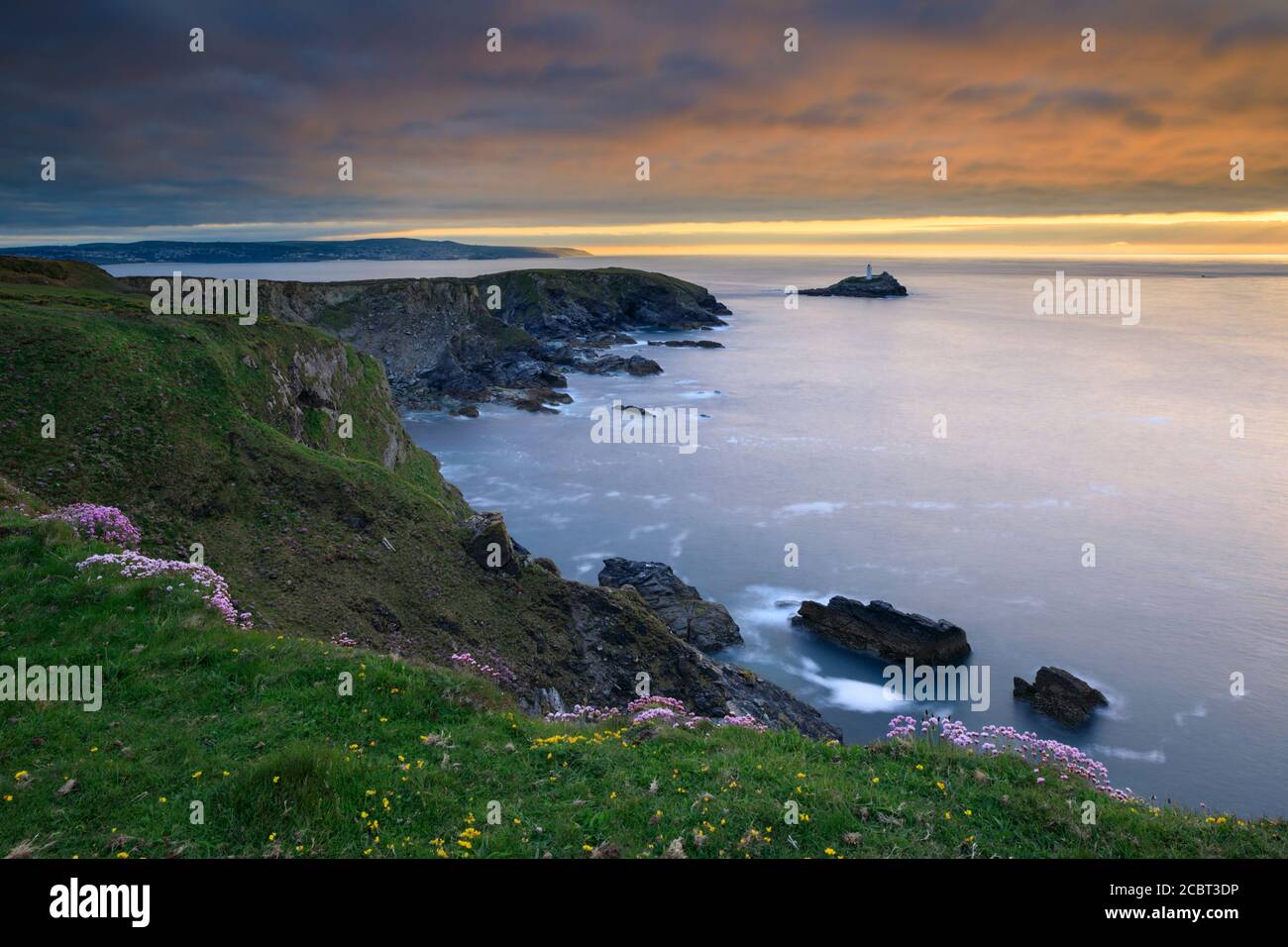 Spring flowers on the clifftop near Navax Point on the north coast of ...