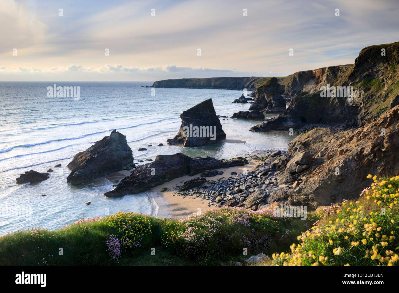 Spring flowers at the Bedruthan Steps in Cornwall. The image was ...